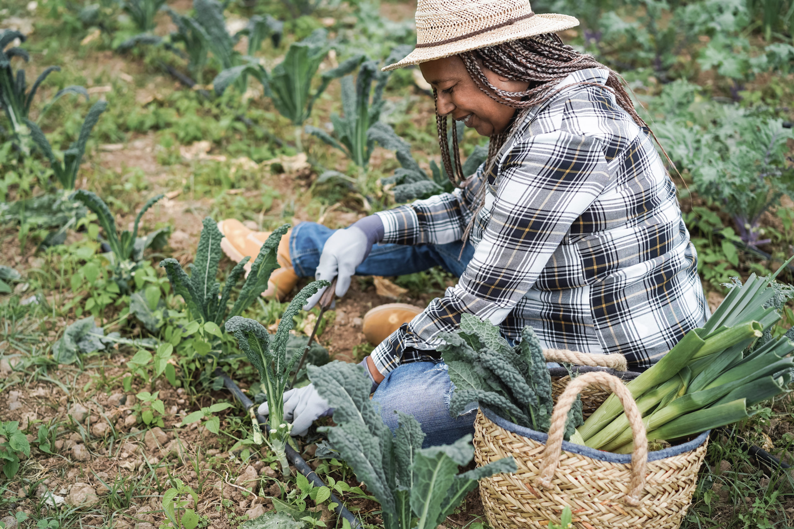 Farmer Equity Act: A Policy to Improve Access for Farmers of Color in ...