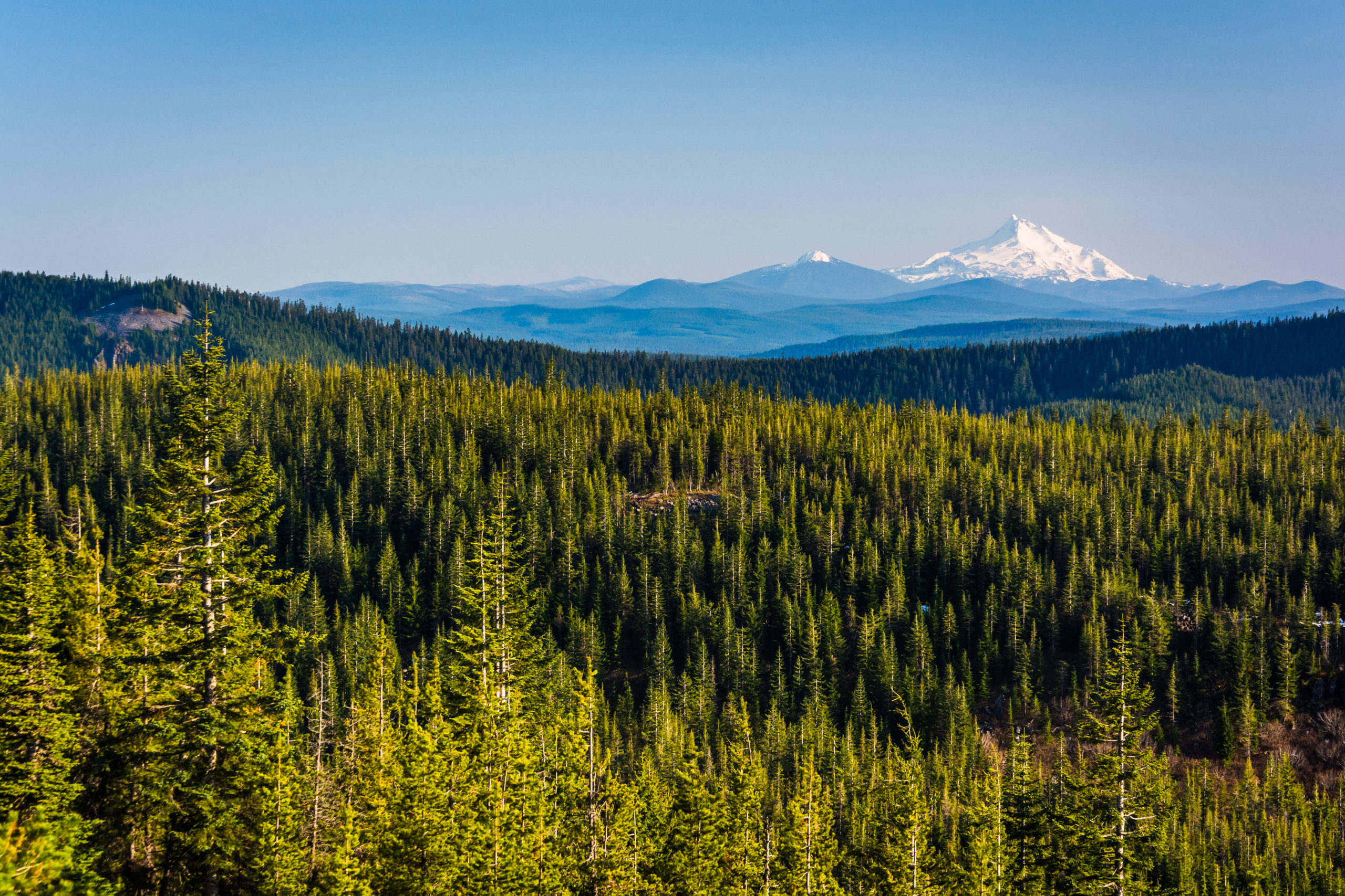 Can Working Lands Protect Us From Climate Change? An Oregon Example ...