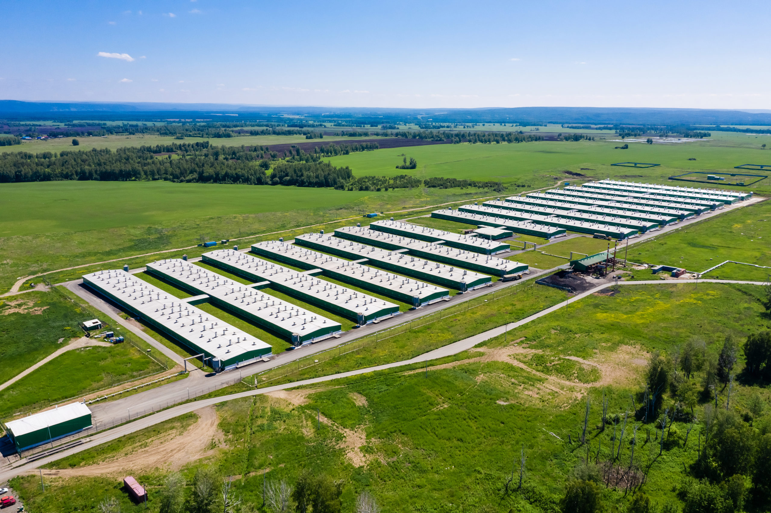 Why Industrial Agriculture Can't Feed the World - SiX Agriculture